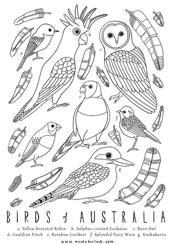 COLOUR IN | BIRDS #1 | nicoleberlach