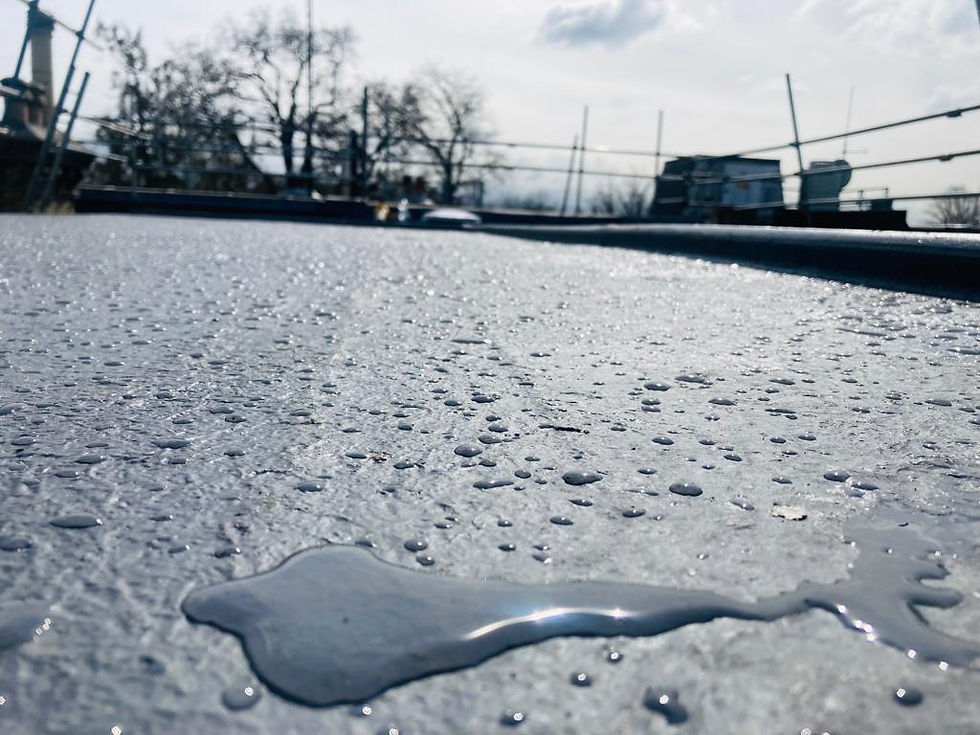 The Advantages of Liquid Roofing for Flat Roofs: A Superior Alternative ...