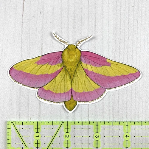 Rosy Maple Moth Sticker | VIX Emporium