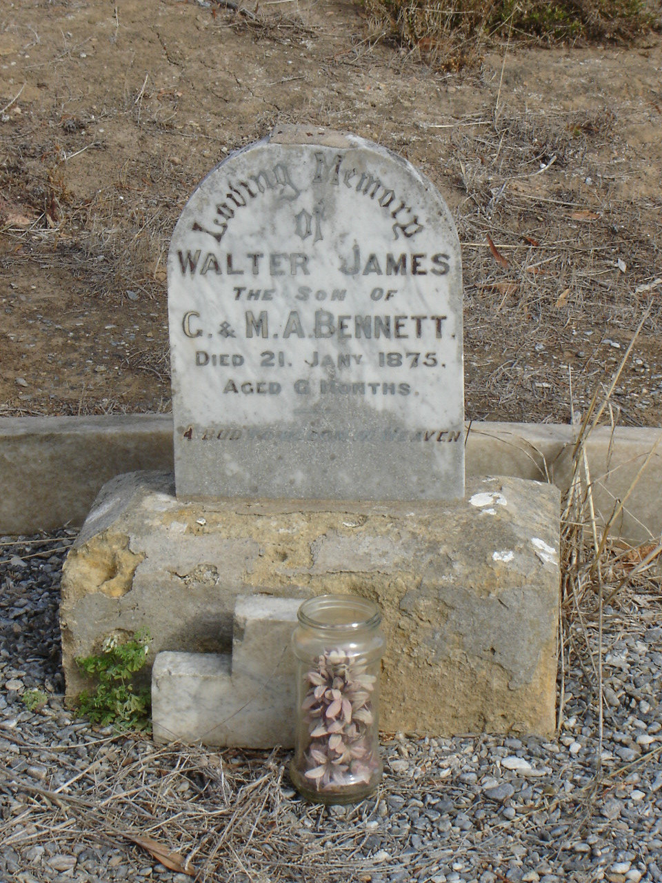 BENNETT, Walter James