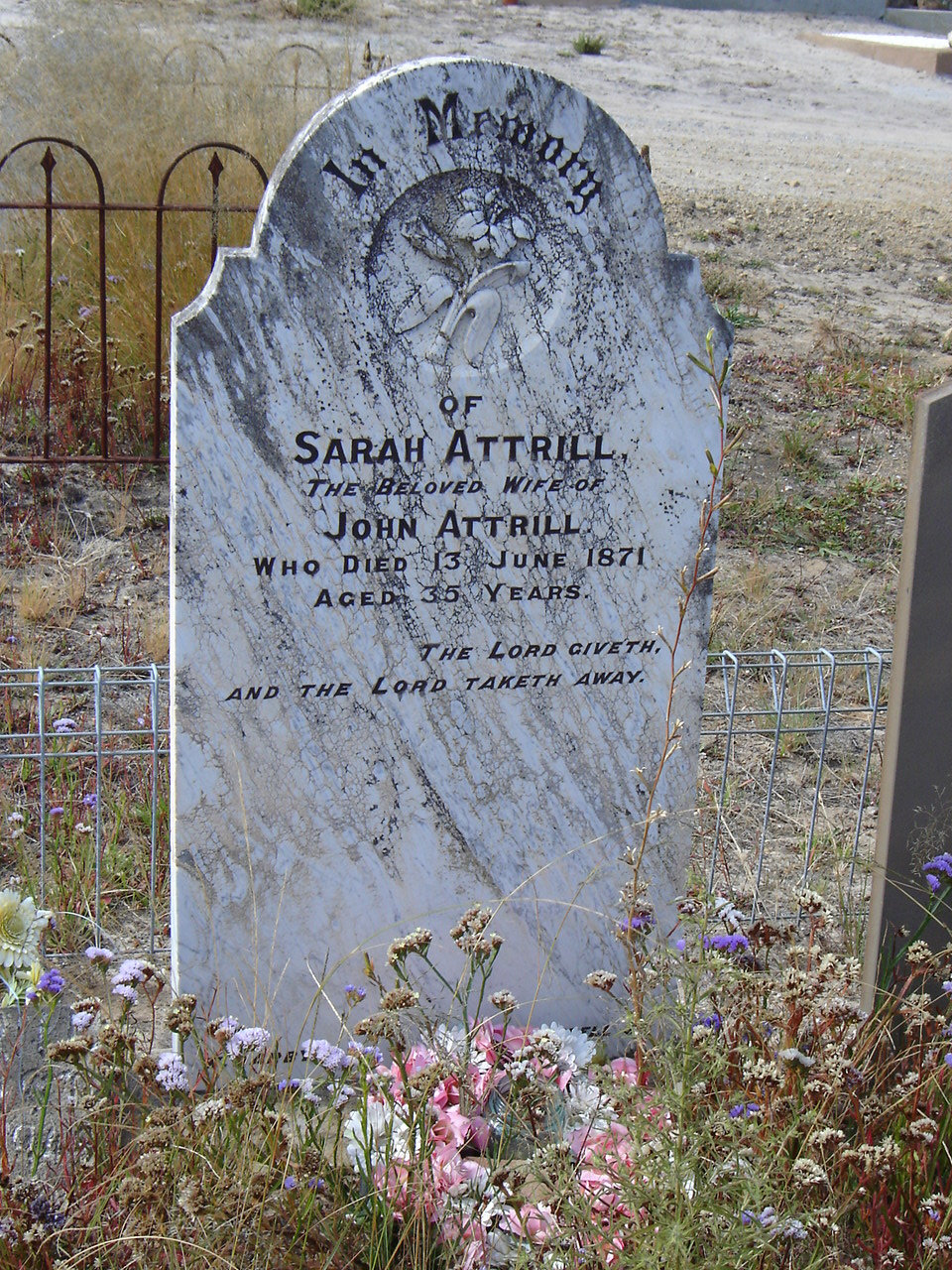 ATTRILL, Sarah