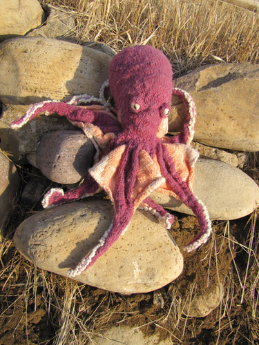 Octavia the Octopus | Ellens Wooly Wonders