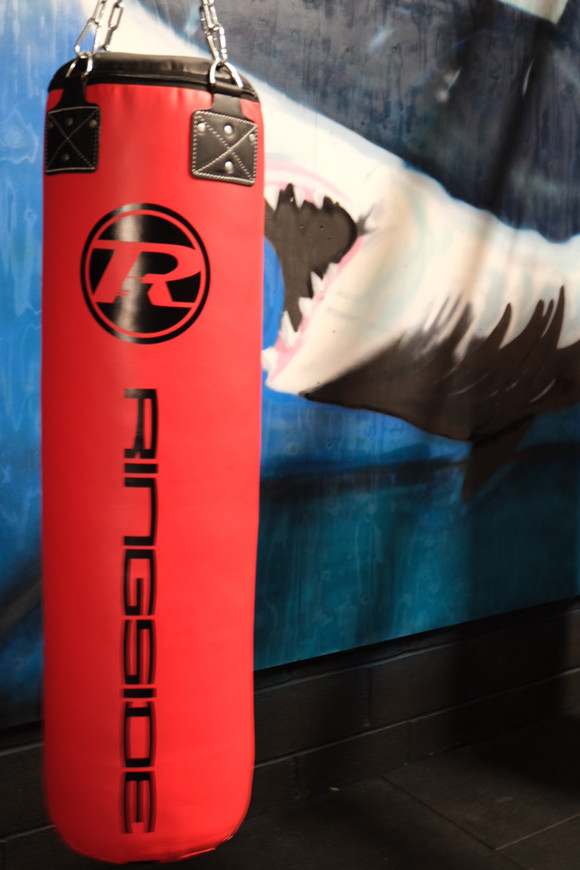 Amateur Boxing Club | Tenby Sharks ABC | Wales