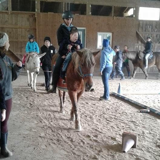 Stories & Honors | Joshua Harr Shane