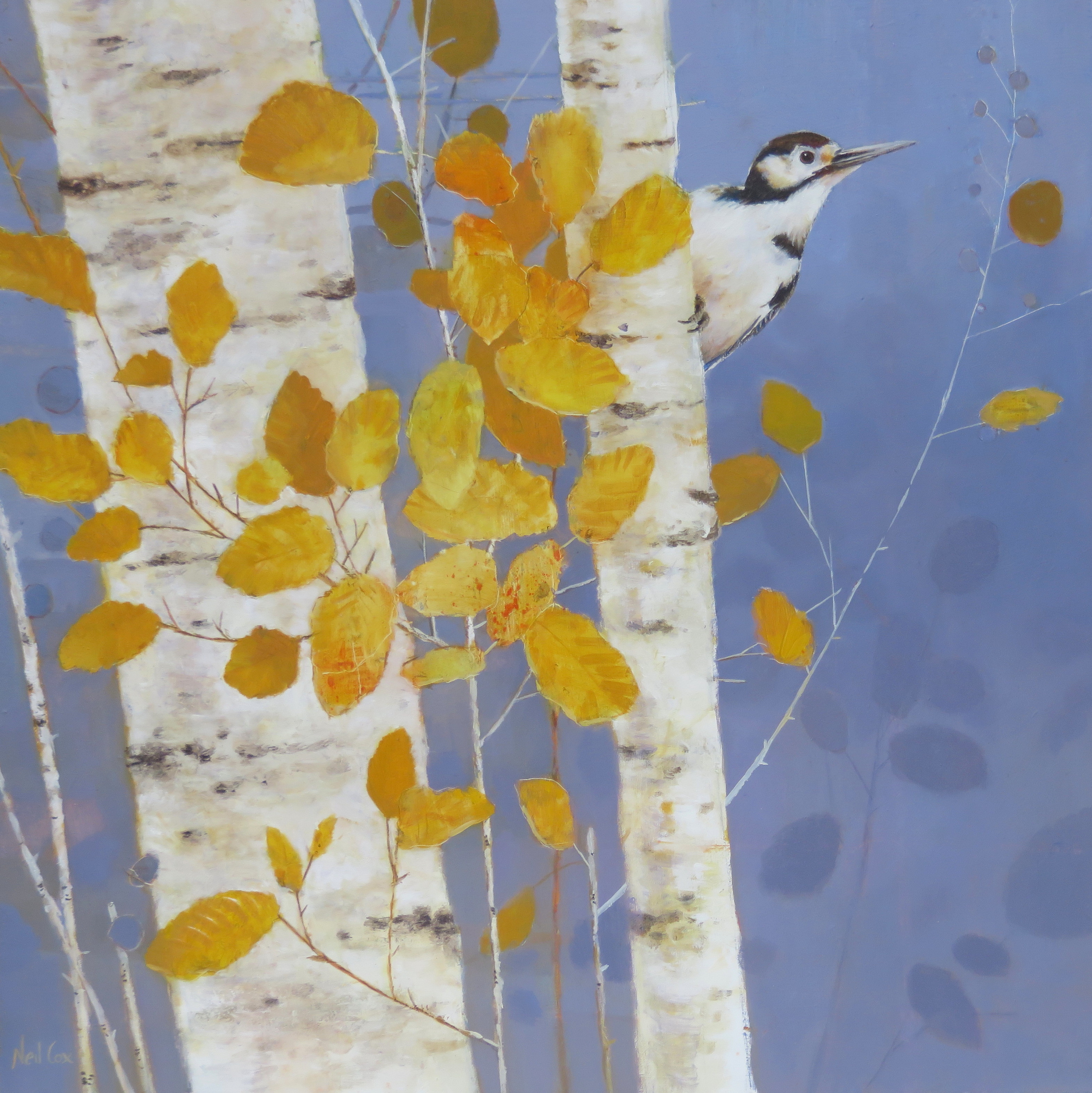 Neil Cox Wildlife & Landscape Artist | Devon | Otterton