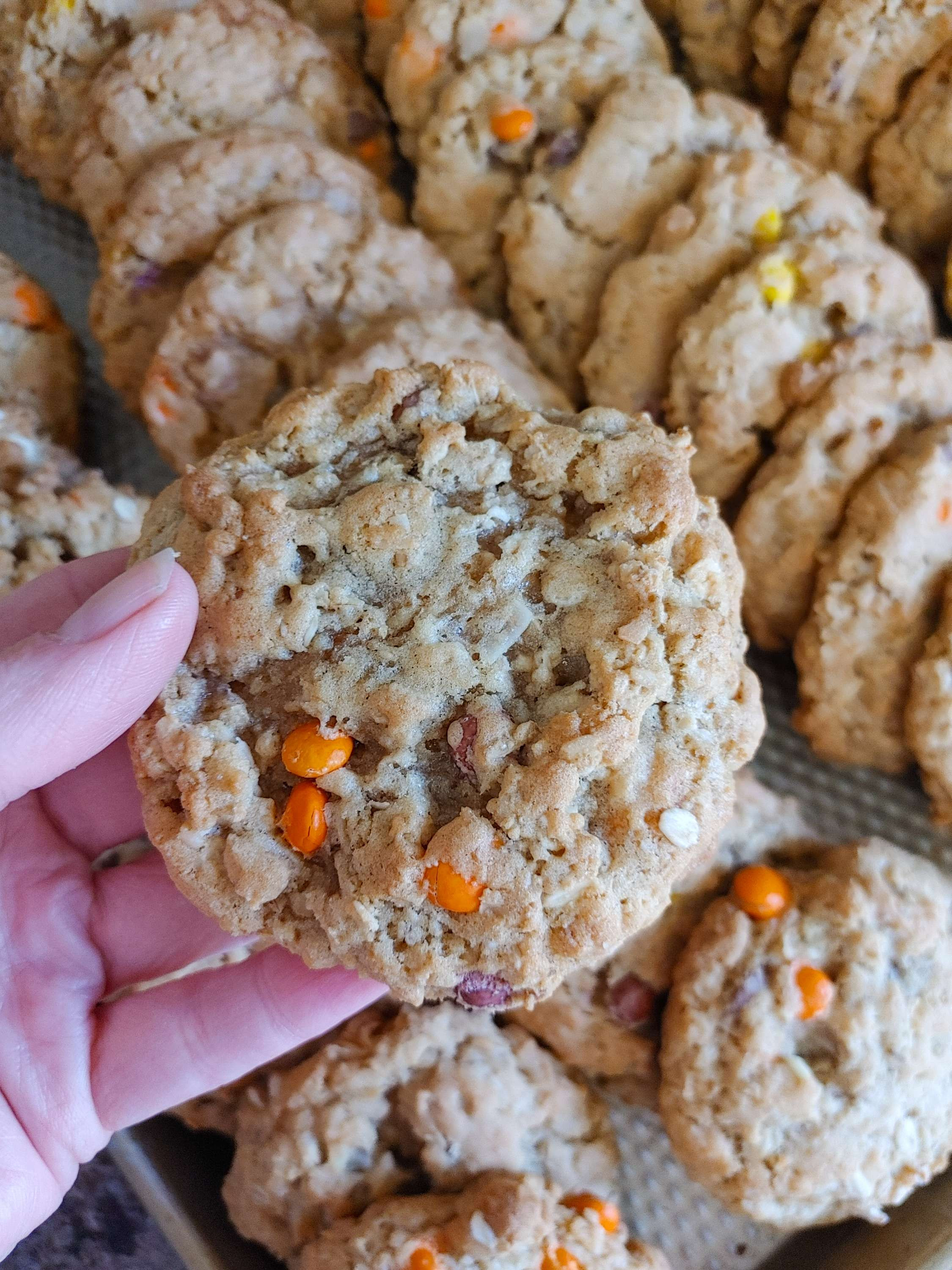 Loaded Oatmeal Cookies