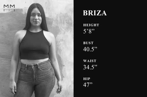 Briza. | Metric Models