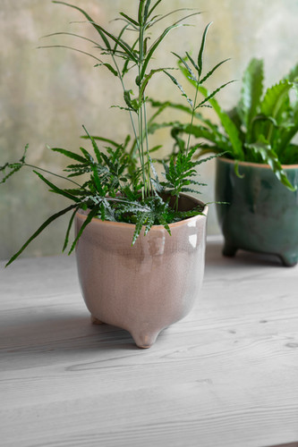 Positano Pot - 3 colour variants | Green and Wild