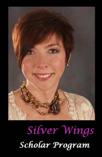 Silver Wings Scholar Program DVD | hulsmanarea