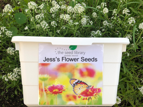 Personalised Flower Seed Boxes | The Seed Library