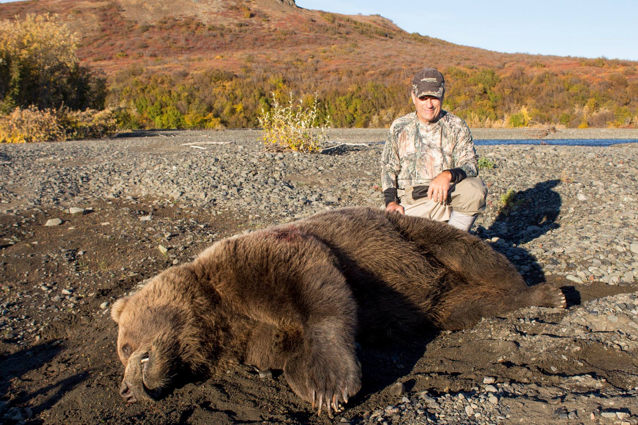 Guided Arctic Grizzly Bear Hunts | AK Dall Sheep Guides