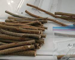 Graft Wood - $4.00 per stick. (1 - 12" stick will do 2 grafts) Must ...