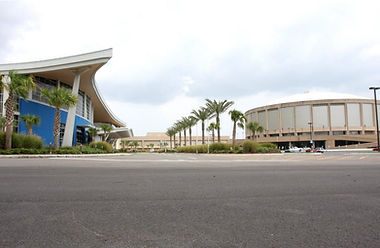 Tournament Information / | msgc