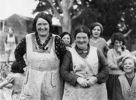 Gallery | The Hop Pickers Line