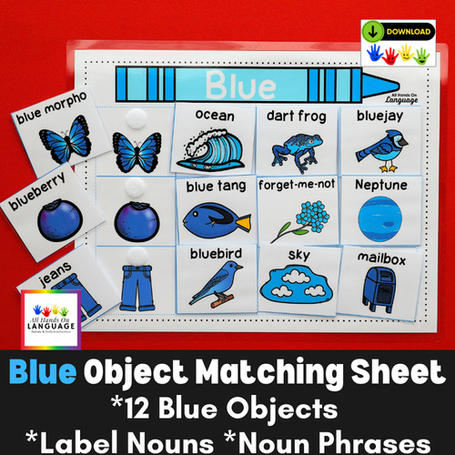 Blue Object Matching Activity, Match and Label, Adjective-Noun Phrases ...