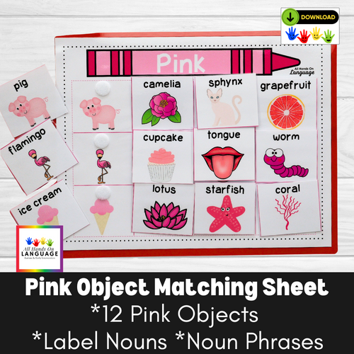 Pink Object Matching Activity, Match and Label, Adjective-Noun Phrases ...