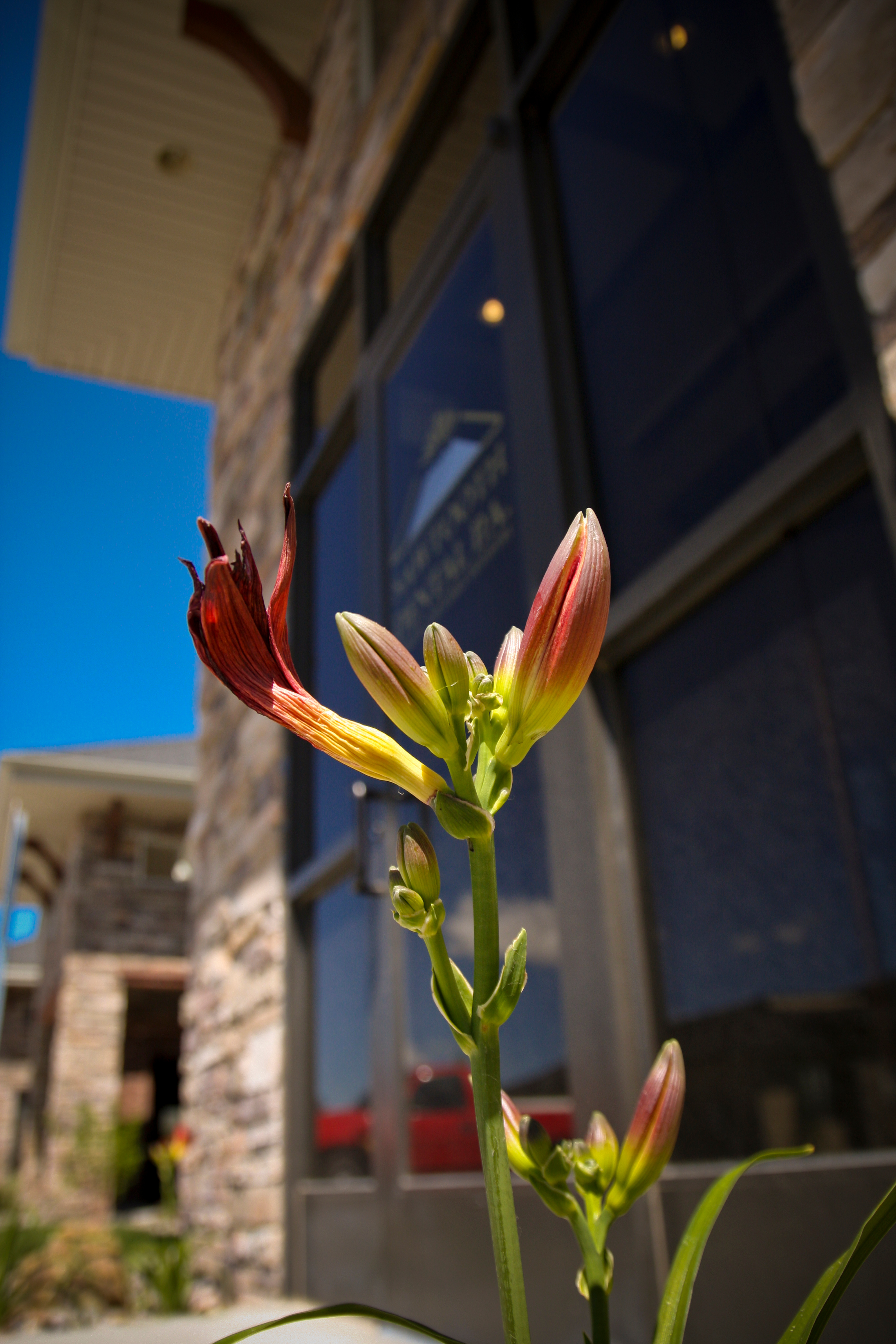 Home | sawtoothdental