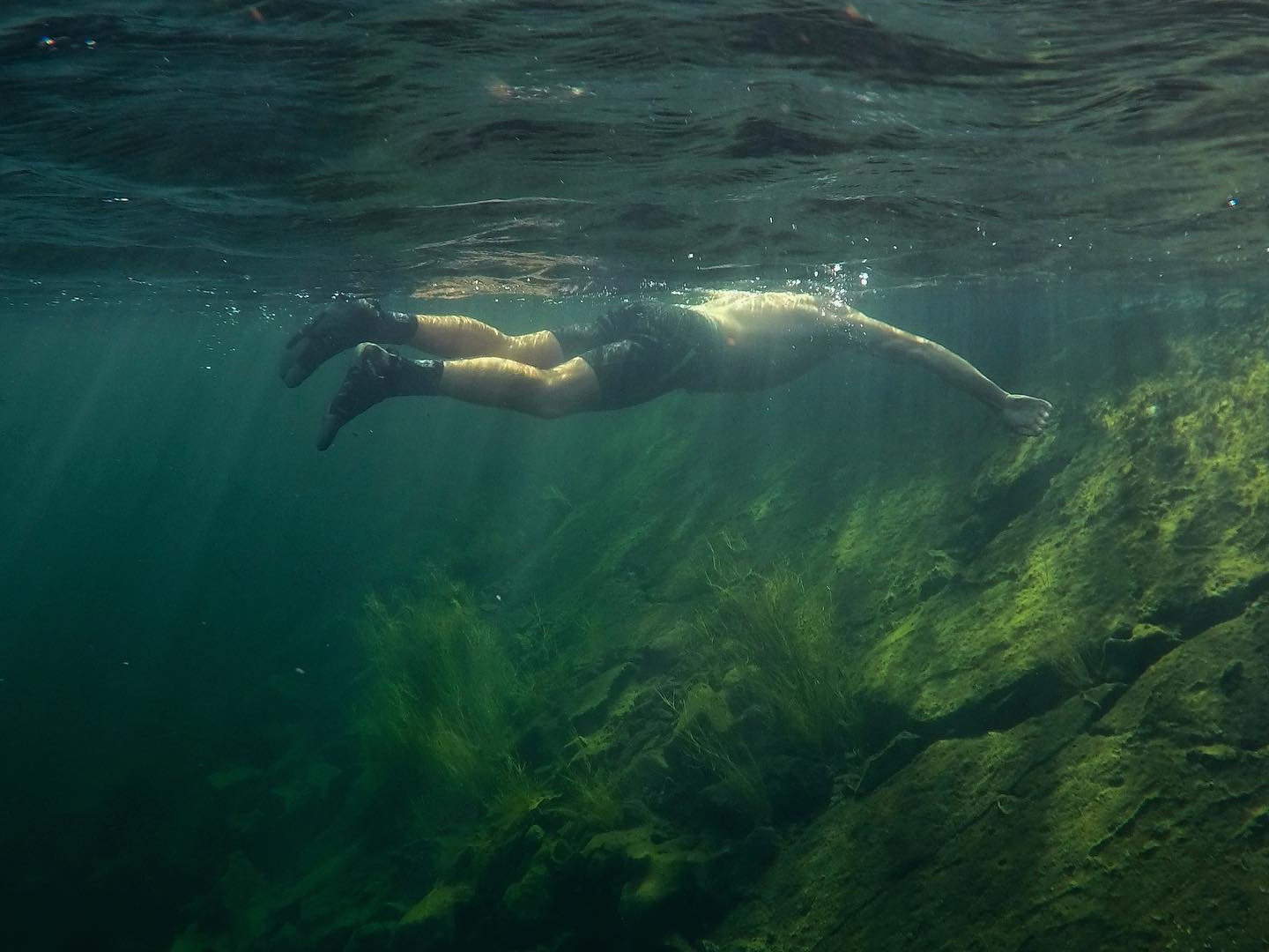 WILD SWIM INTRODUCTION | viviennerickman