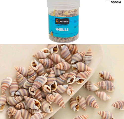 Sea Shells - 100 gms | Kart And Kraft