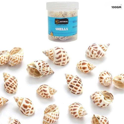 Sea Shells - 100 gms | Kart And Kraft