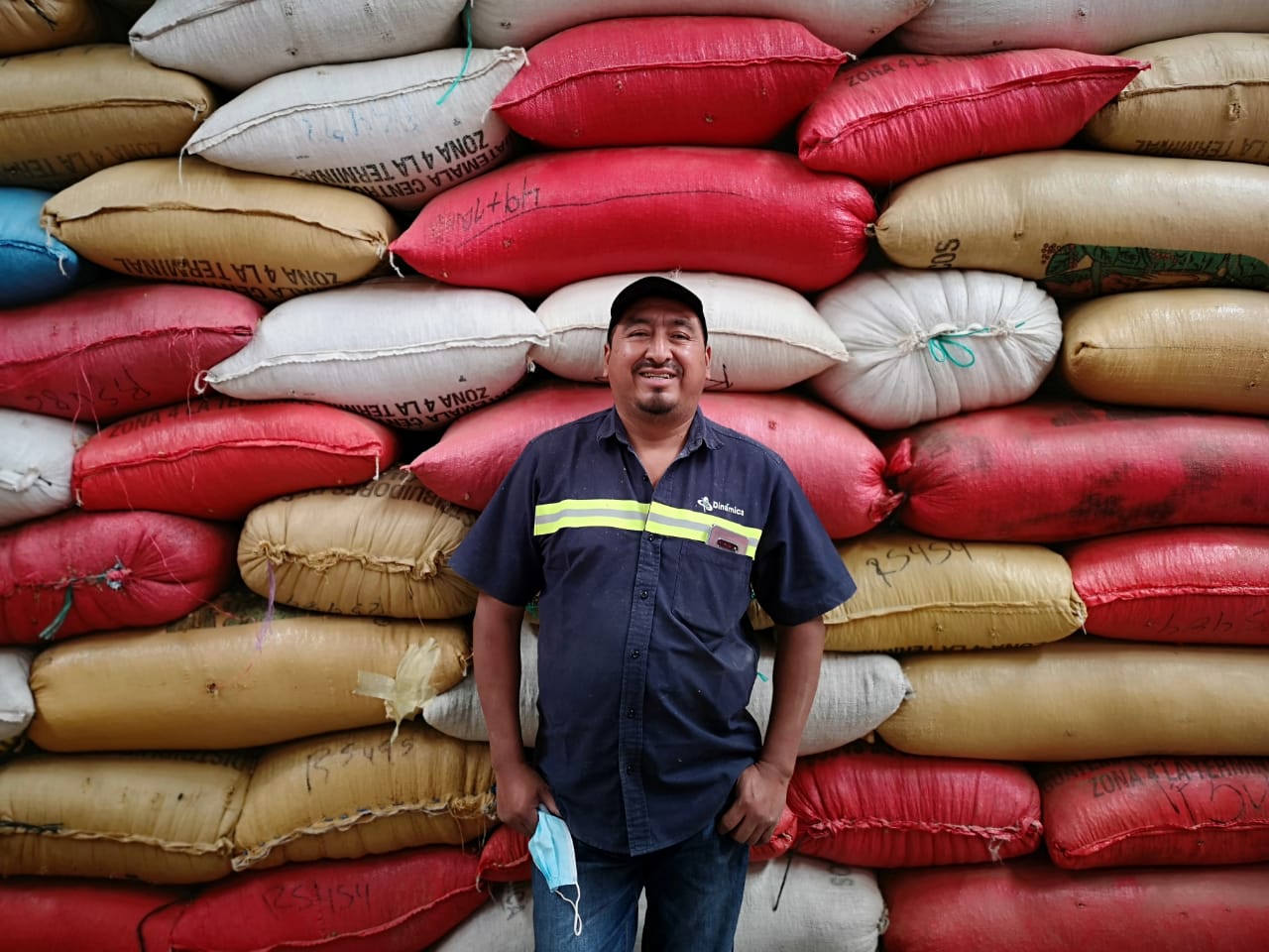 Green Coffee Bean Grading