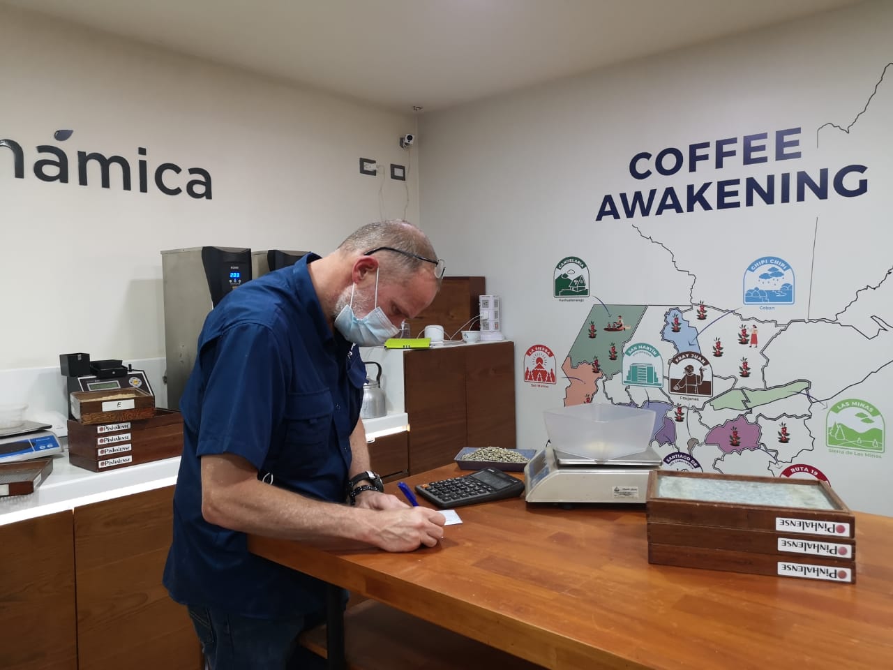 Green Coffee Bean Grading