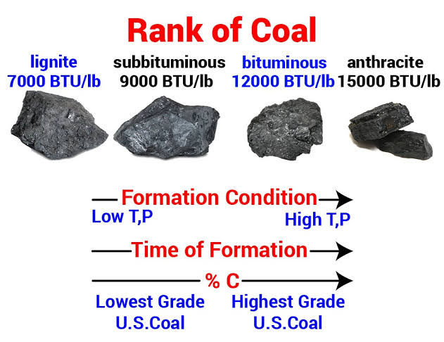 What is COAL ? And It's Rank?