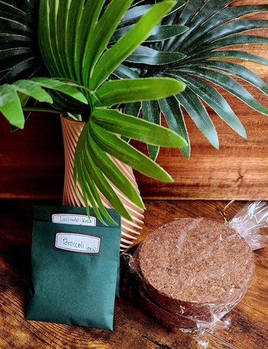 Custom Grow Kit Refills - Starter (Small) | Ono Microgreens