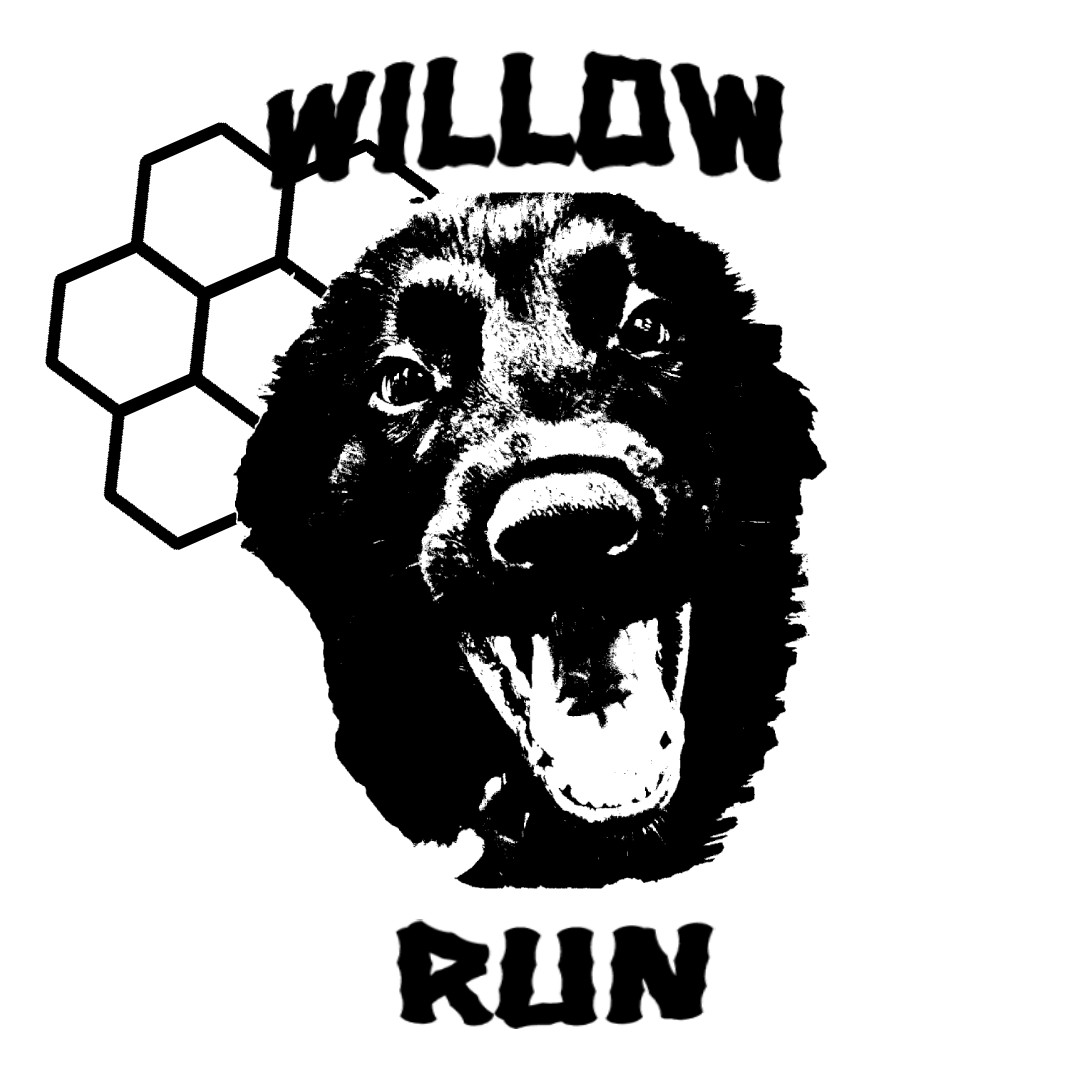 Local Honey | Willow Run Apiary | Medina