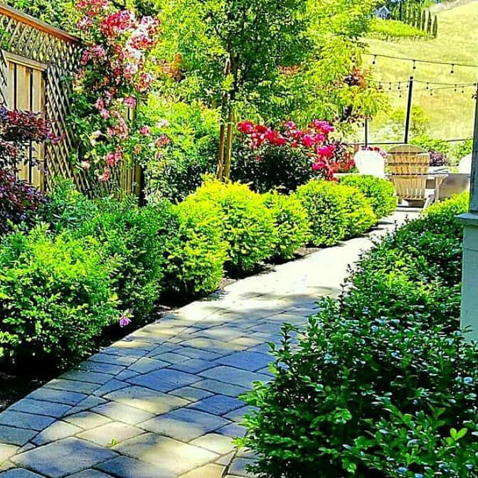 How this Yard Went From Drab to an Inviting Outdoor Entertaining Space