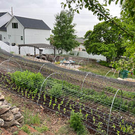 Foothill Farm Flowers | Utah Flower Farm | Provo