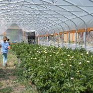 Local Flower Map | Utah Cut Flower Farm Association