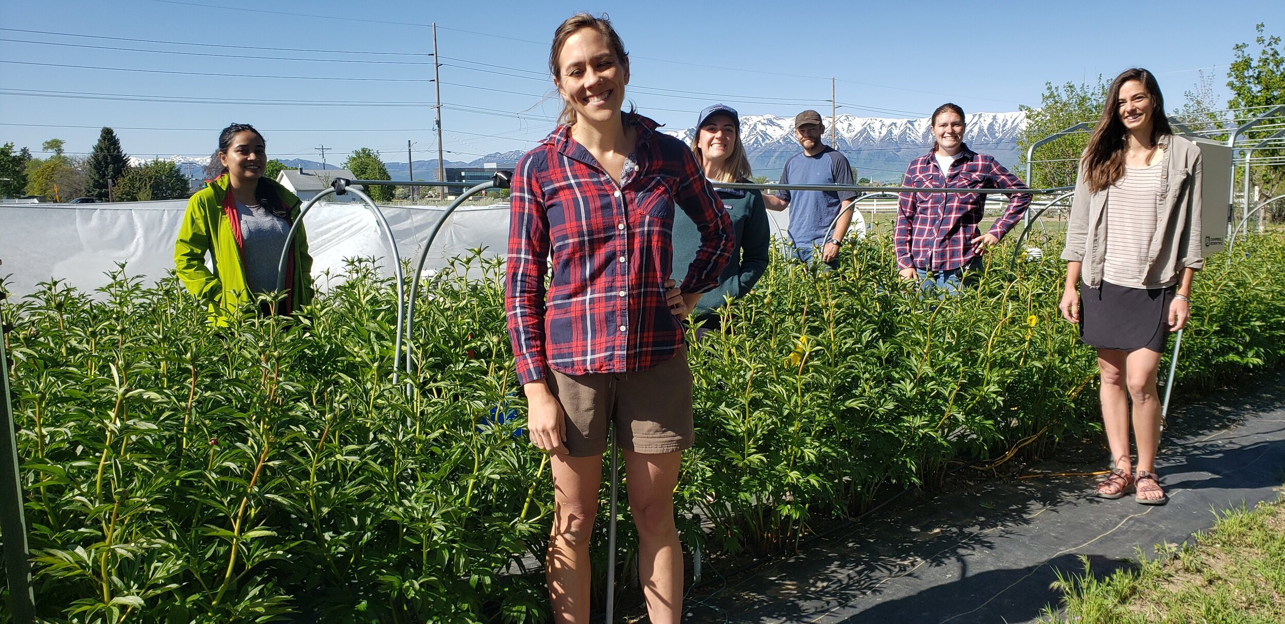 USU Small Farms | Utah Cut Flower Farm Association