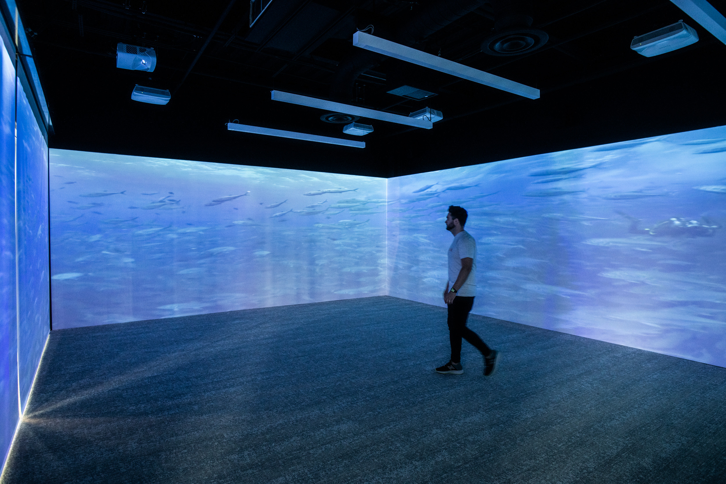 360 Immersive Studio | The Linkhttps://www.thelink.zone/flagler-health ...