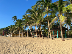 Gallery| Calilayan Cove
