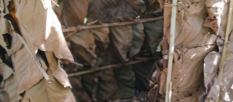 HDFM | Humanitarian & Development Foundation for Myanmar