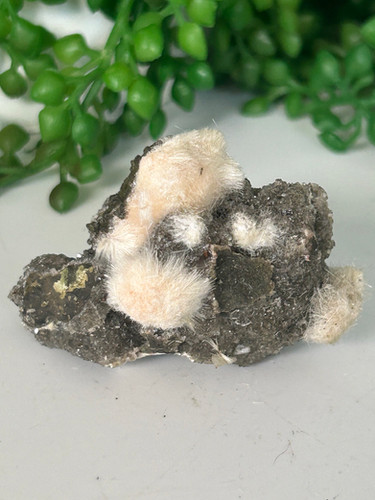 Thomsonite Specimen | Crystal D'Lites