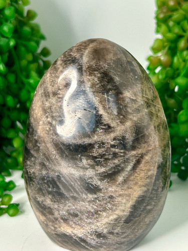 Black Moonstone Free Form | Crystal D'Lites