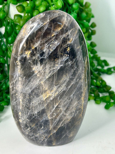 Black Moonstone Free Form | Crystal D'Lites