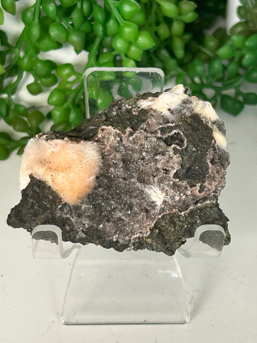 Thomsonite Specimen | Crystal D'Lites