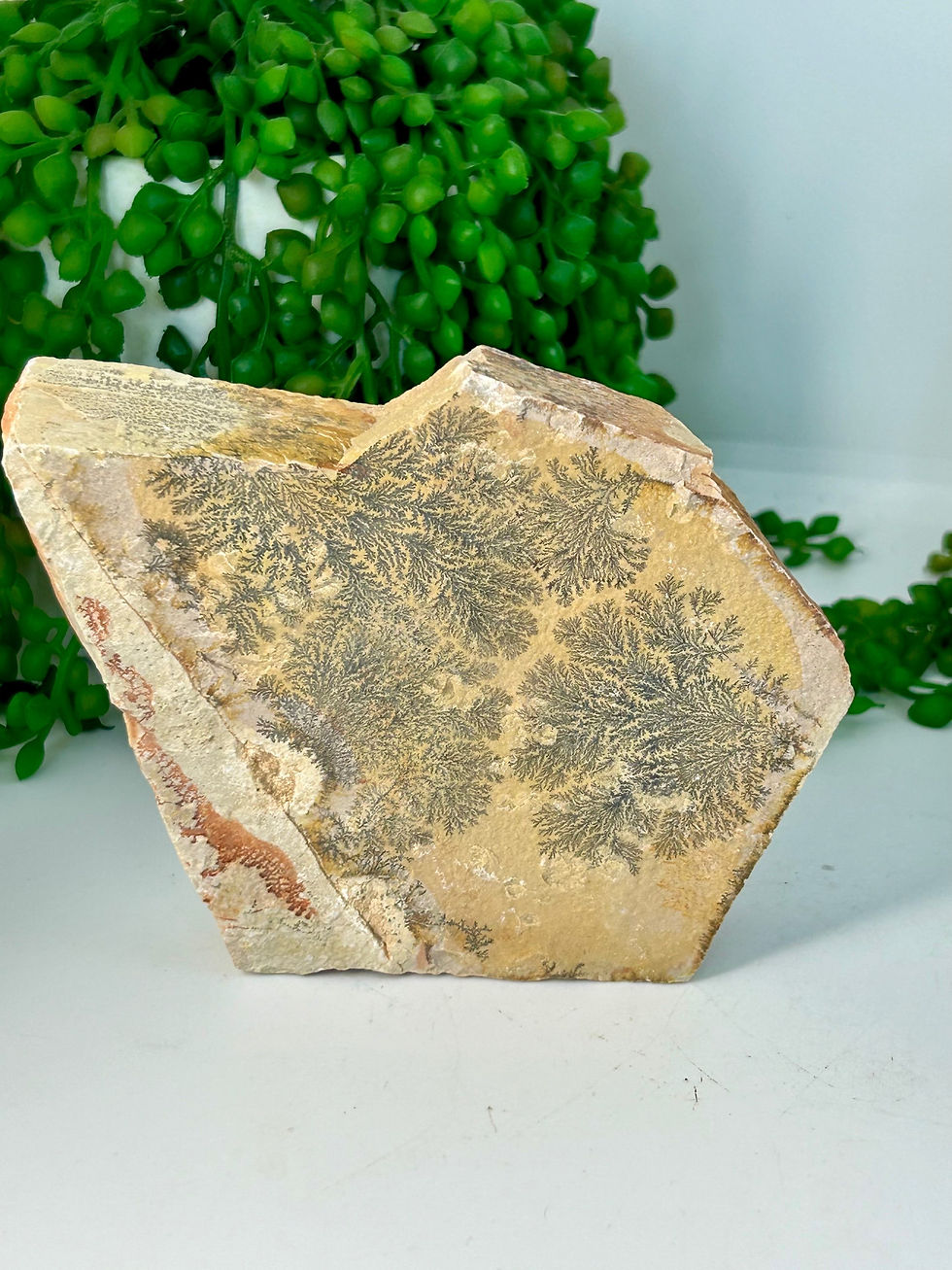 Raw Dendritic Picture Jasper Slab | Crystal D'Lites