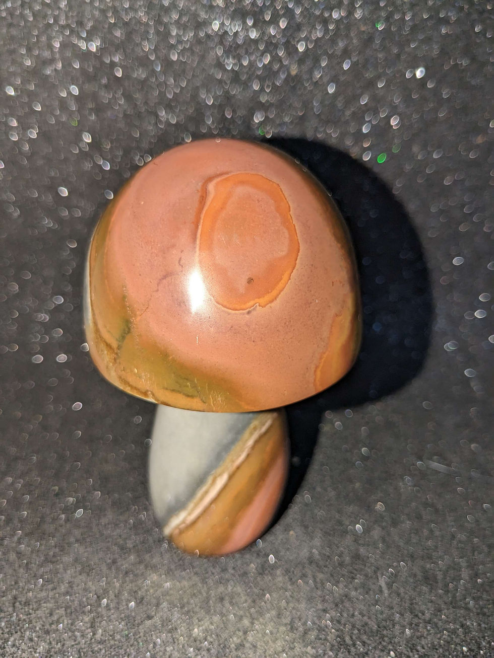 Polychrome Jasper Mushroom | Crystal D'Lites