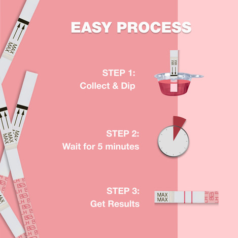 LH Strip | Boston Easy Biotech
