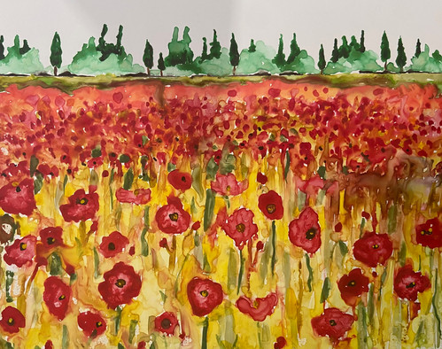 Poppy Field | Artwork by Julie