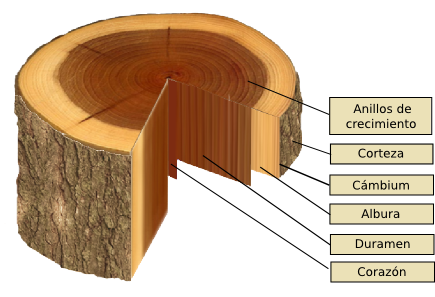 LA MADERA COMO ELEMENTO ESTRUCTURAL