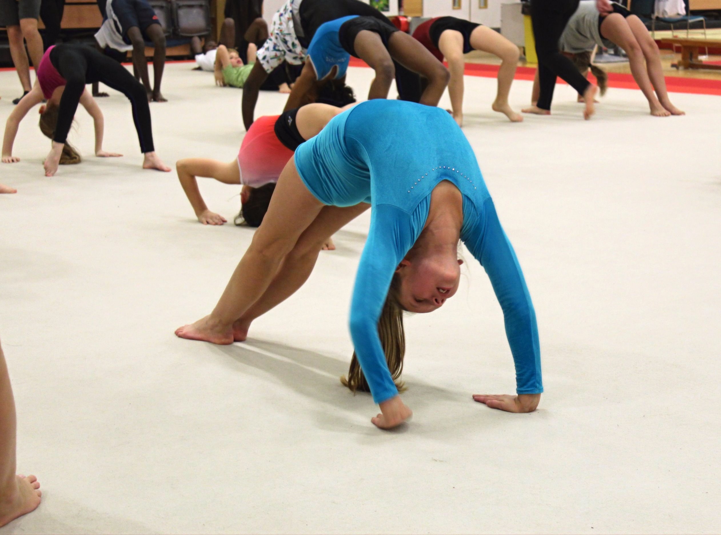 RECREATIONAL | Europa Gym Centre