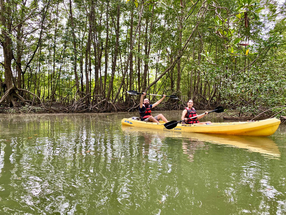 Excursion Kayak et Bioluminescence Costa Rica | Agence World Evasion