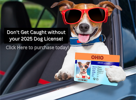 Dog License Information | Licking County Dog S