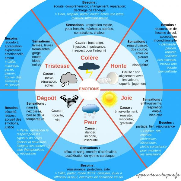 Mieux comprendre le message de l'émotion et y répondre...