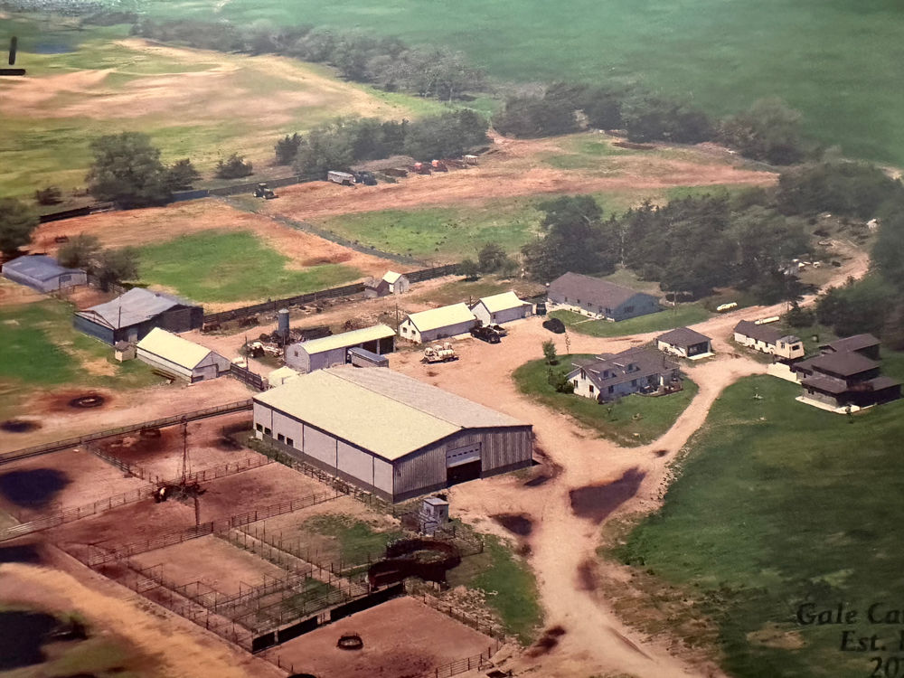 Seeking Ranchhand | Sandhills Cattle